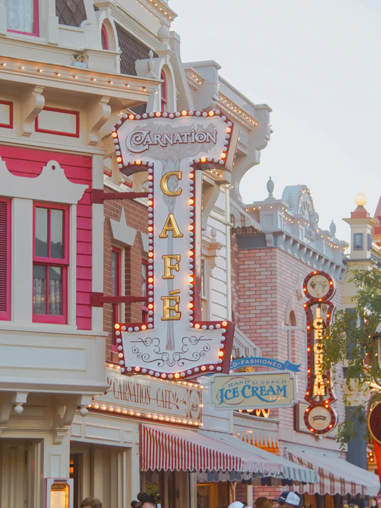 【2025年最新】カリフォルニア ディズニーランド・リゾートのおすすめアトラクションをレポート！｜tabimuse